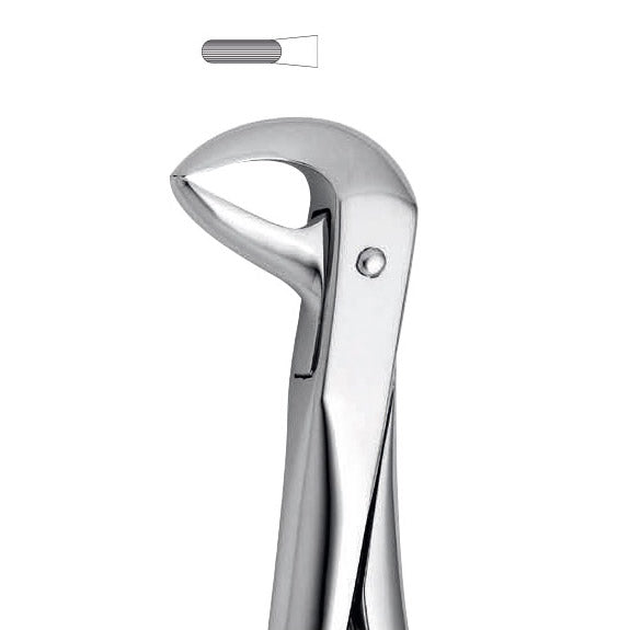 FORCEPS 123, CHILDREN'S LOWER TEETH – Phoenix Dental Instruments ltd
