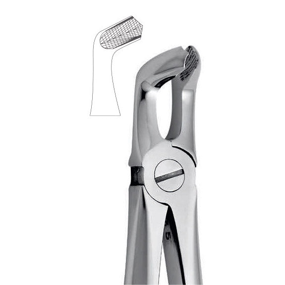 FORCEPS 79, Lower Third Molars Forceps – Phoenix Dental Instruments ltd